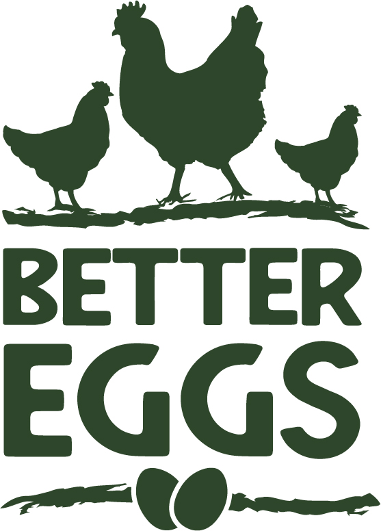 Better Eggs - Waikato Business Insights